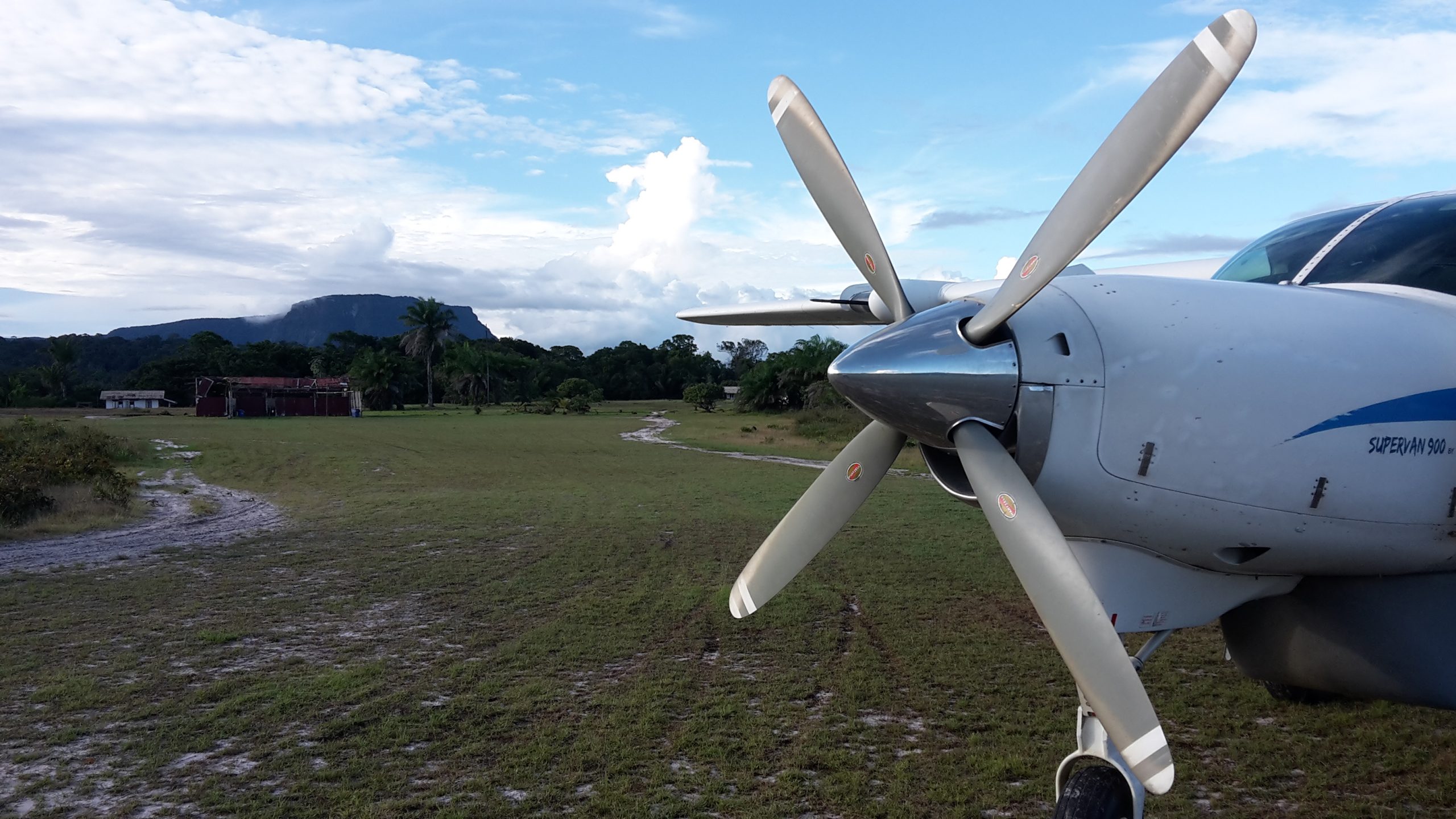 Photo Gallery - Bluewing