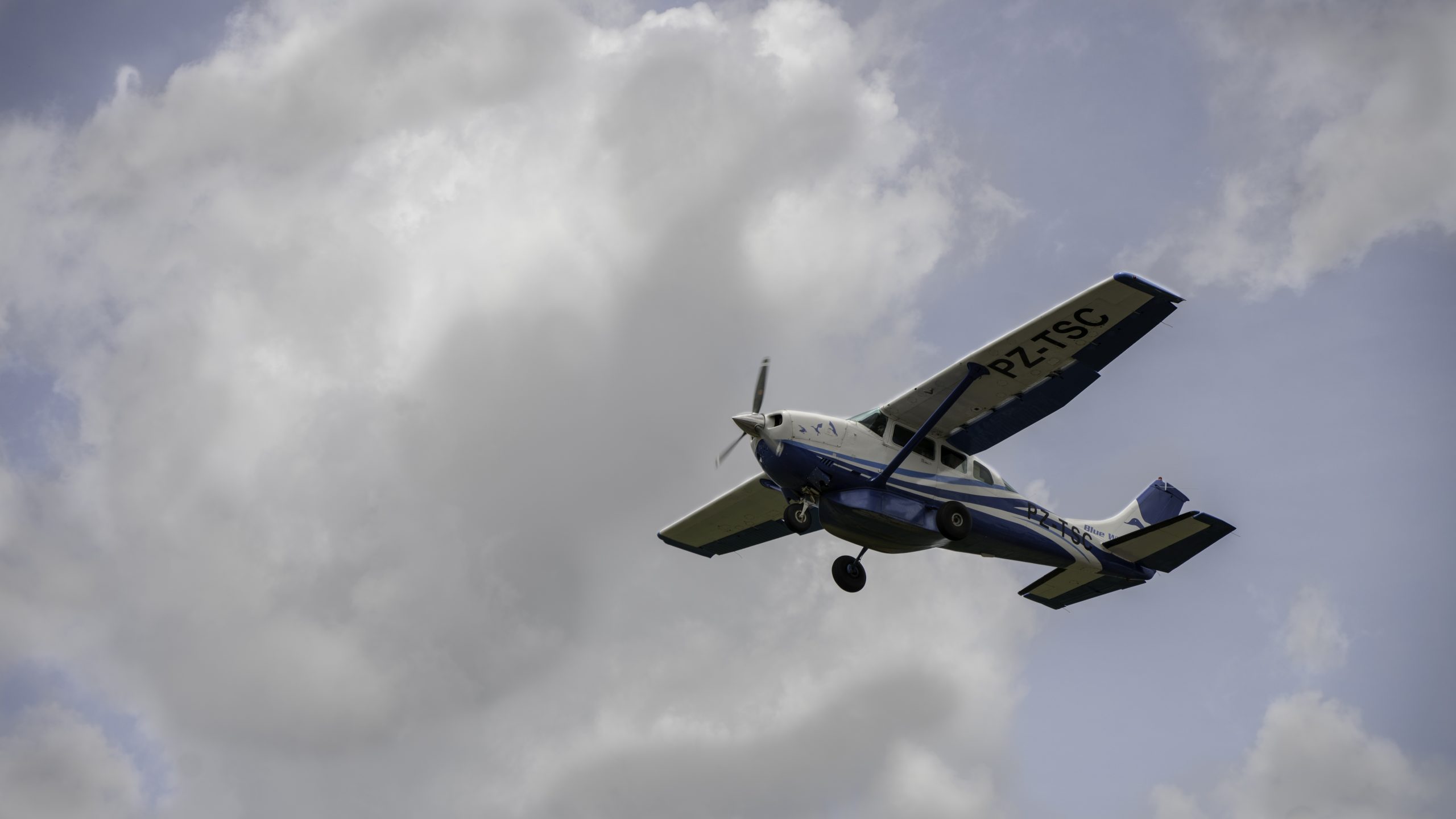 CESSNA 206 - Bluewing