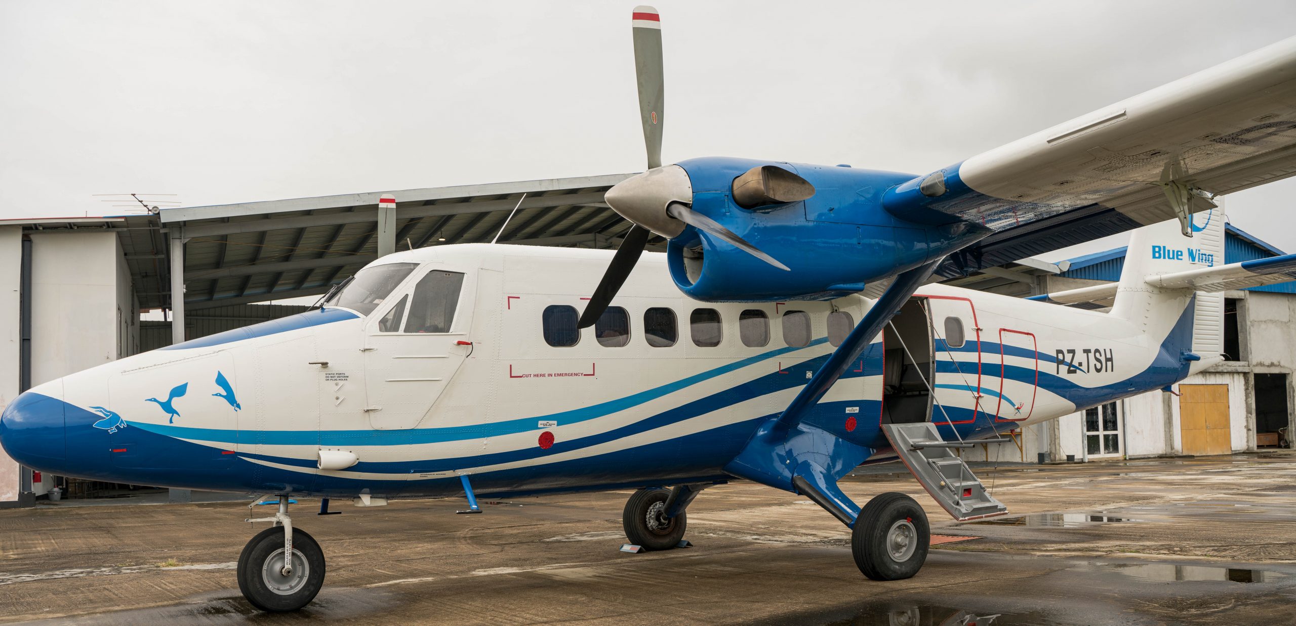 Twin-Otter - Bluewing